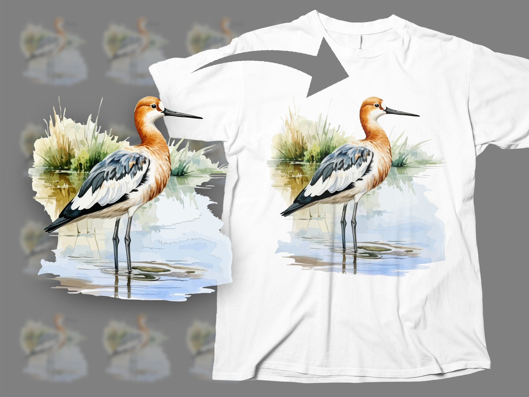 Bird American Avocet Wetland SVG PNG Clipart Sublimation Transparent ...