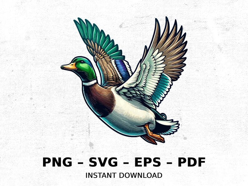 Bird Drake Mallard Duck Farm Flight Wildlife SVG PNG Clipart ...