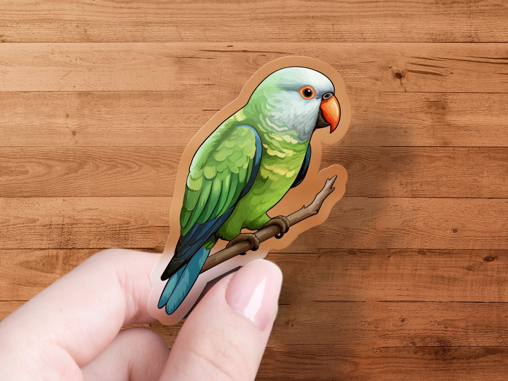 Bird Quaker Parrot Monk Parakeet SVG PNG Clipart Sublimation ...