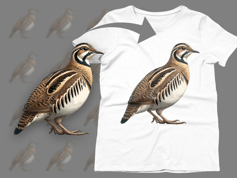 Partridge SVG Clipart PNG Sublimation Designed Instant Digital Download ...