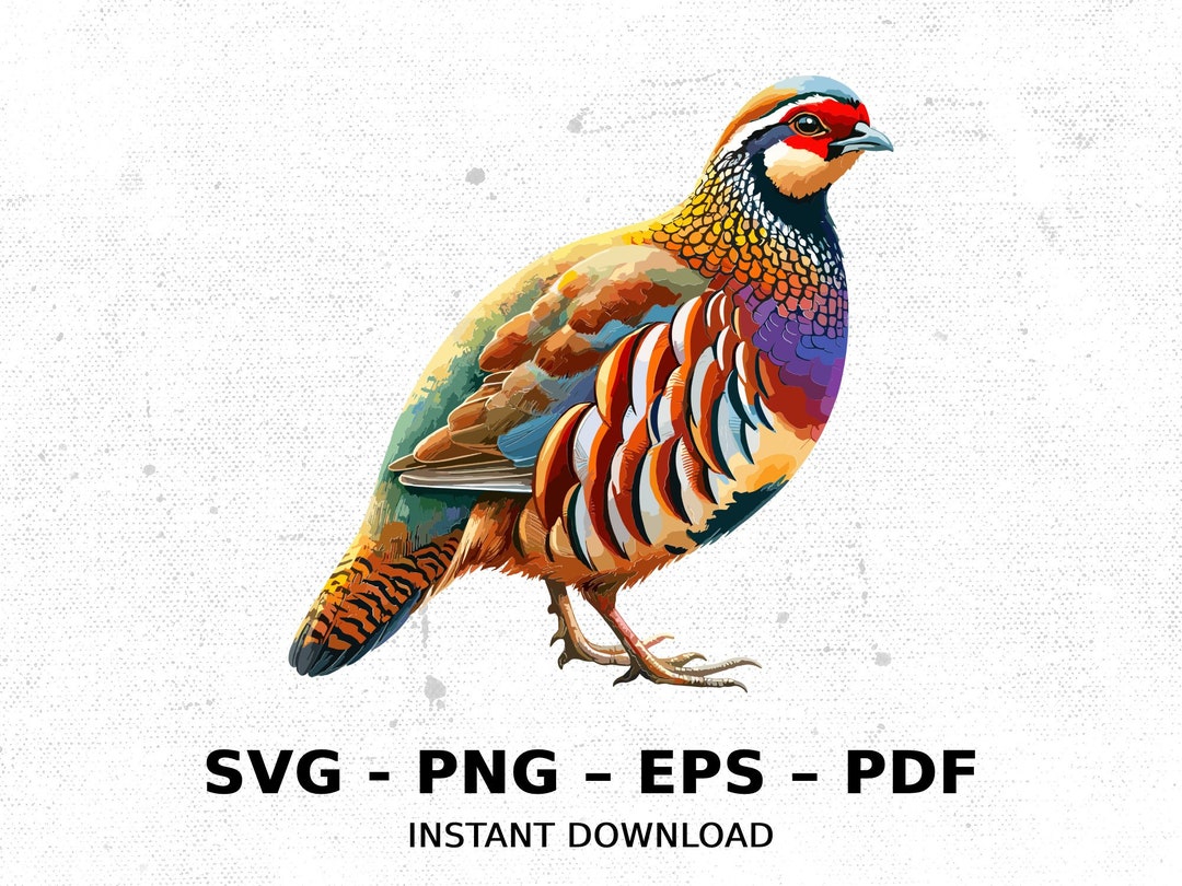 Bird Partridge Wildlife SVG PNG Clipart Sublimation Transparent ...
