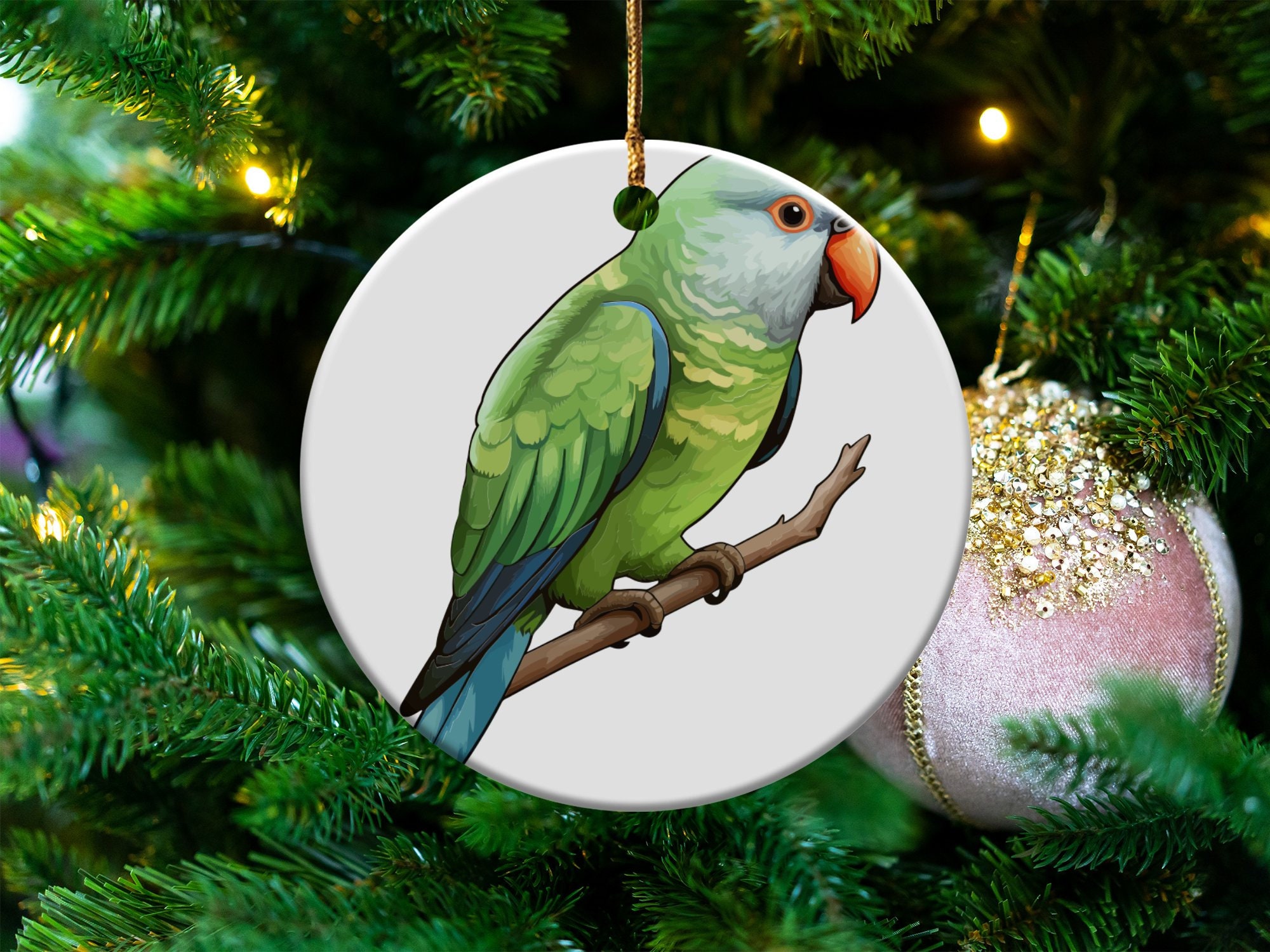 Bird Quaker Parrot Monk Parakeet SVG PNG Clipart Sublimation ...