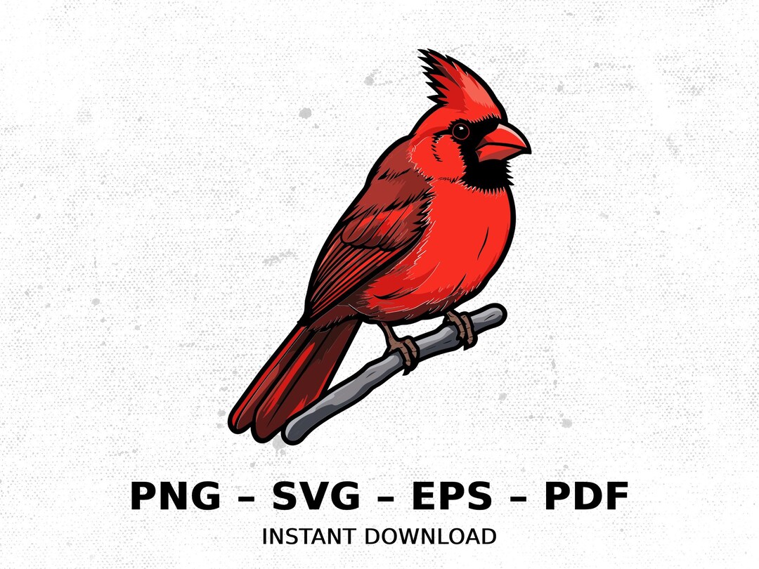 Bird Cardinal Wildlife SVG PNG Clipart Sublimation Transparent ...