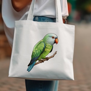Bird Quaker Parrot Monk Parakeet SVG PNG Clipart | Sublimation ...