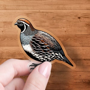 Bird Bobwhite Quail Wildlife SVG PNG Clipart Sublimation Transparent ...