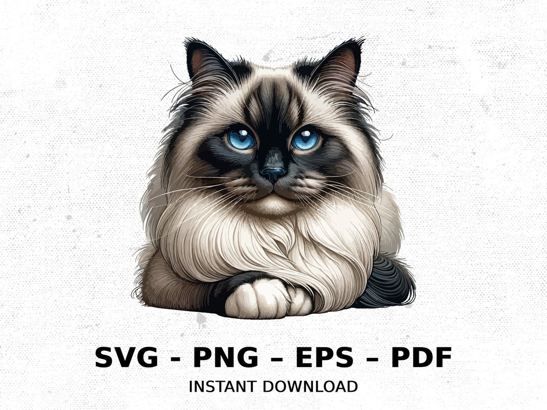 Cat Kitten Birman Blue Eyed SVG PNG Clipart Sublimation Transparent ...