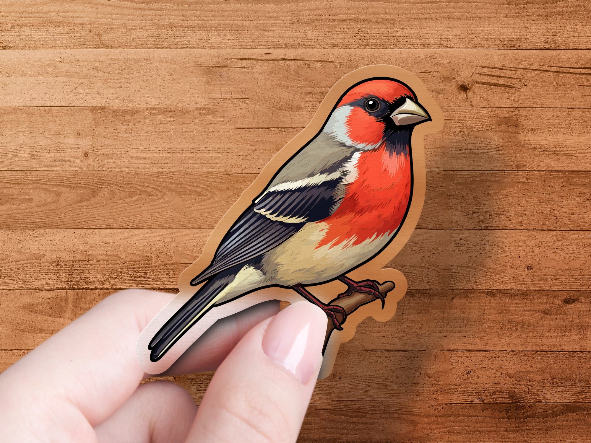 Bird Society Finch Wildlife SVG PNG Clipart Sublimation Transparent ...