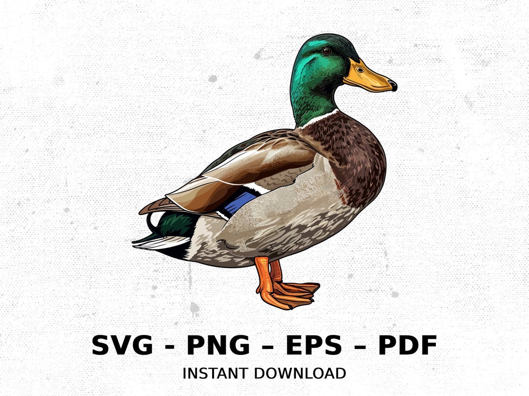 Bird Drake Mallard Duck Farm Wildlife SVG PNG Clipart Sublimation ...