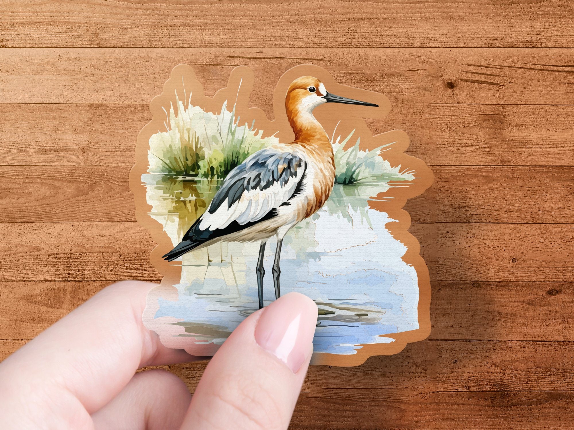 Bird American Avocet Wetland SVG PNG Clipart Sublimation Transparent ...