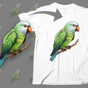 Bird Quaker Parrot Monk Parakeet SVG PNG Clipart | Sublimation ...