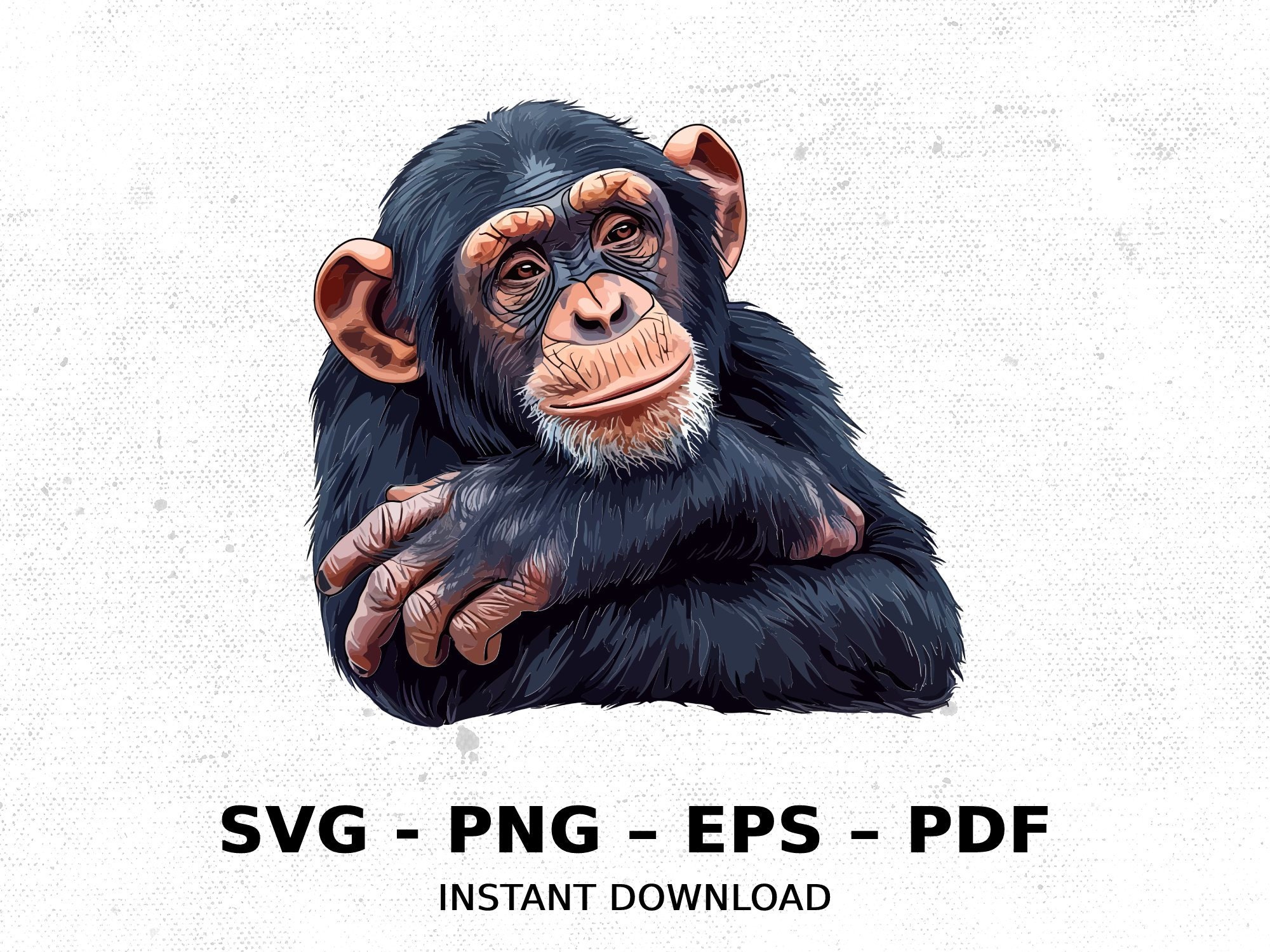 Chimpanzee Chimp Wildlife SVG PNG Clipart Sublimation Transparent ...