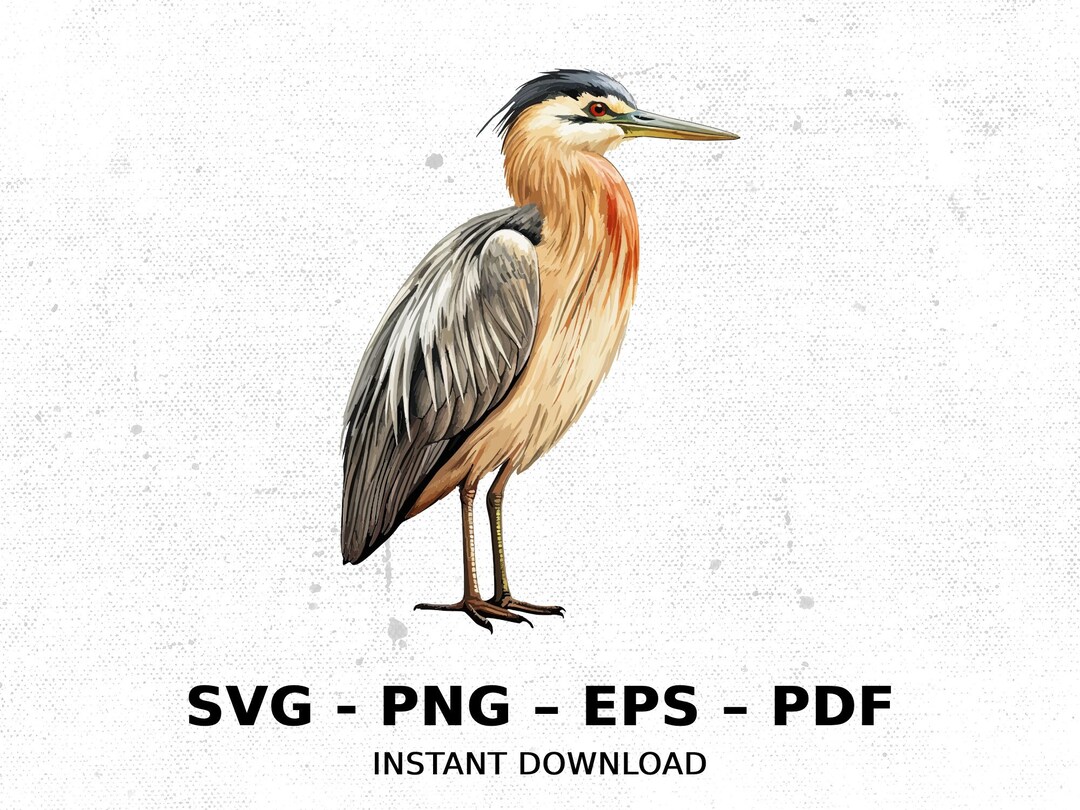 Bird American Bittern Marsh Wetland Wildlife SVG PNG Clipart ...