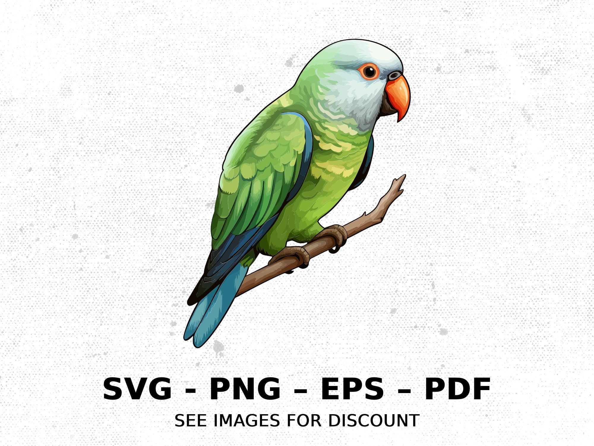Bird Quaker Parrot Monk Parakeet SVG PNG Clipart Sublimation ...