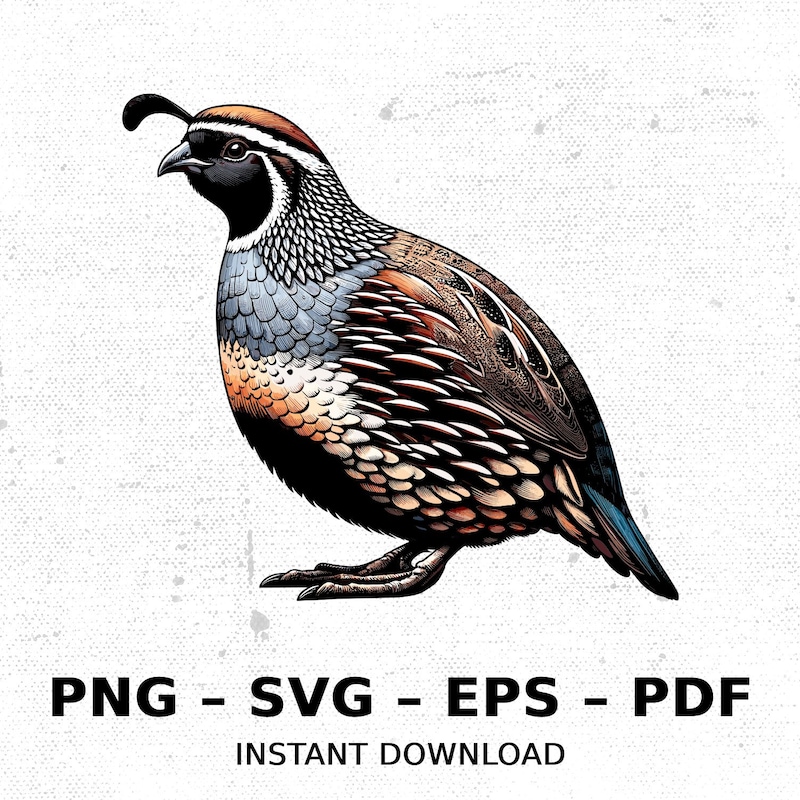 Quail Embroidery - Etsy