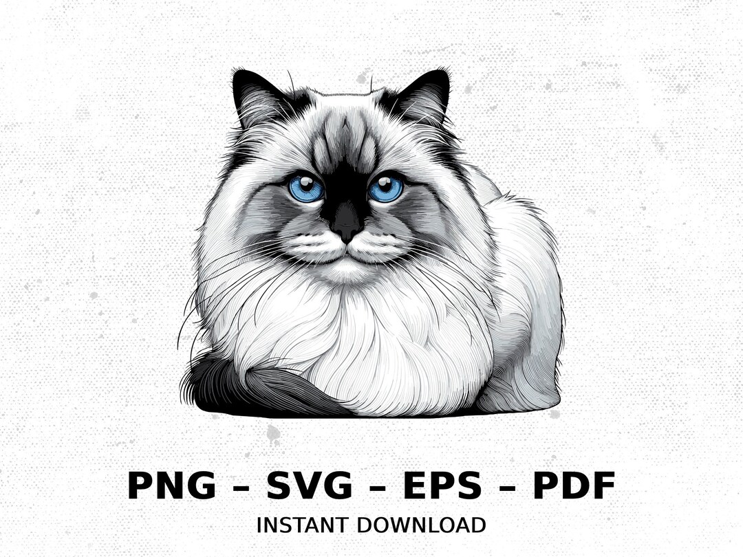 Cat Kitten Birman Blue Eyed SVG PNG Clipart Sublimation Transparent ...