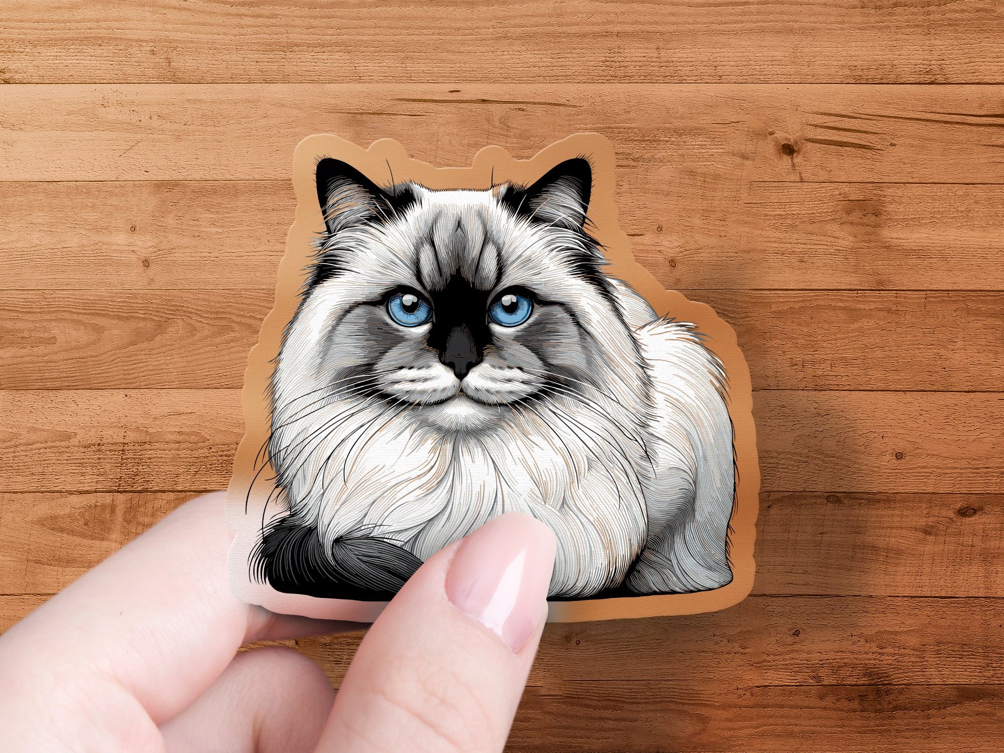 Cat Kitten Birman Blue Eyed SVG PNG Clipart Sublimation Transparent ...