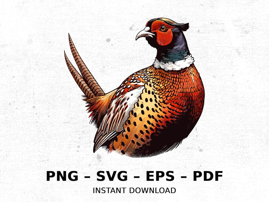 Bird Pheasant Wildlife Hunting SVG PNG Clipart | Sublimation ...