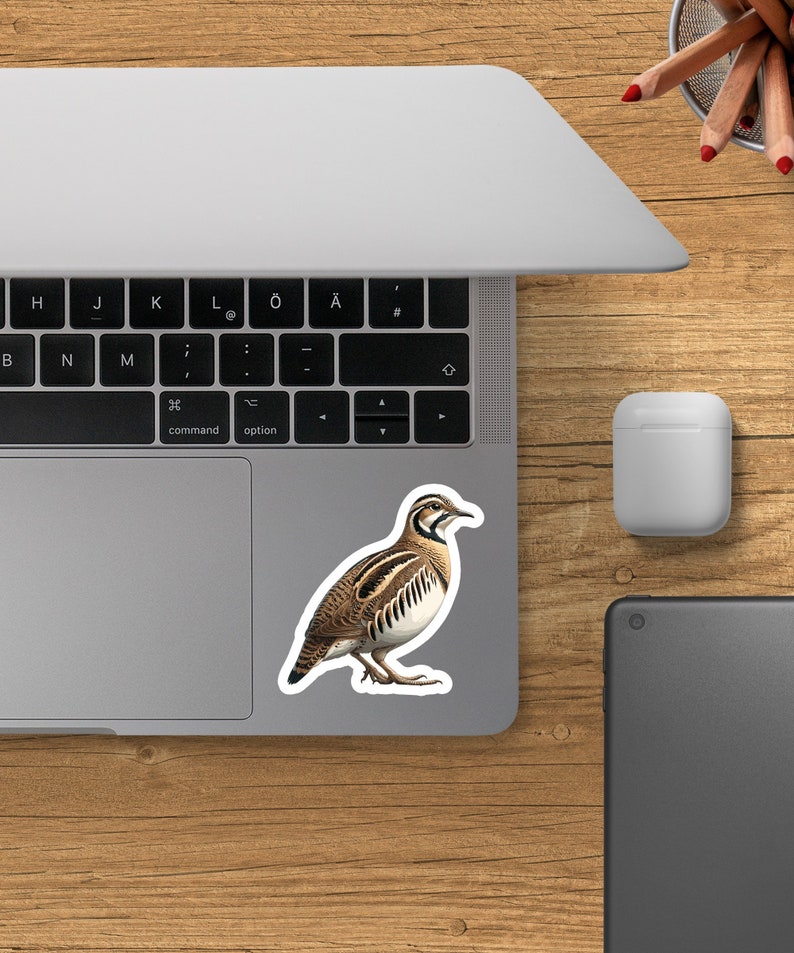 Partridge SVG Clipart PNG Sublimation Designed Instant Digital Download ...