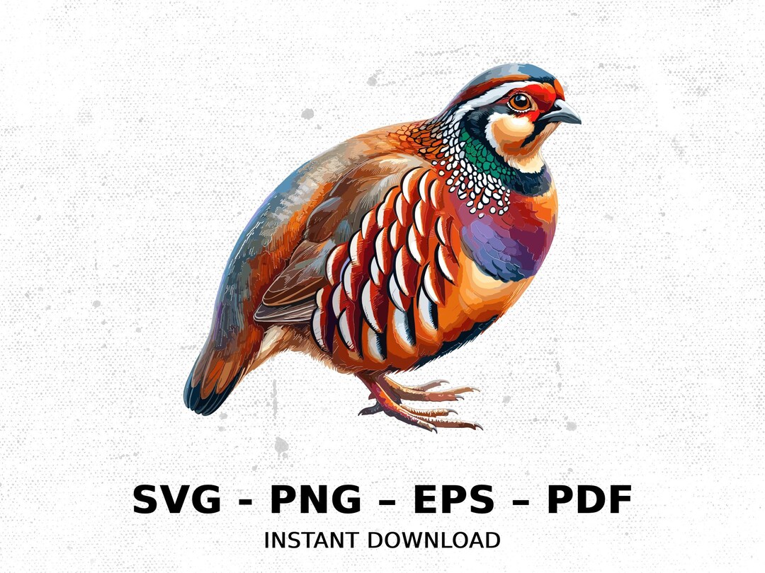 Bird Partridge Wildlife SVG PNG Clipart | Sublimation Transparent ...