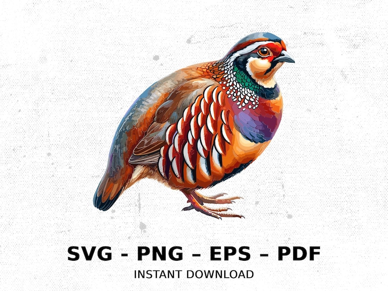 Bird Partridge Wildlife SVG PNG Clipart | Sublimation Transparent ...