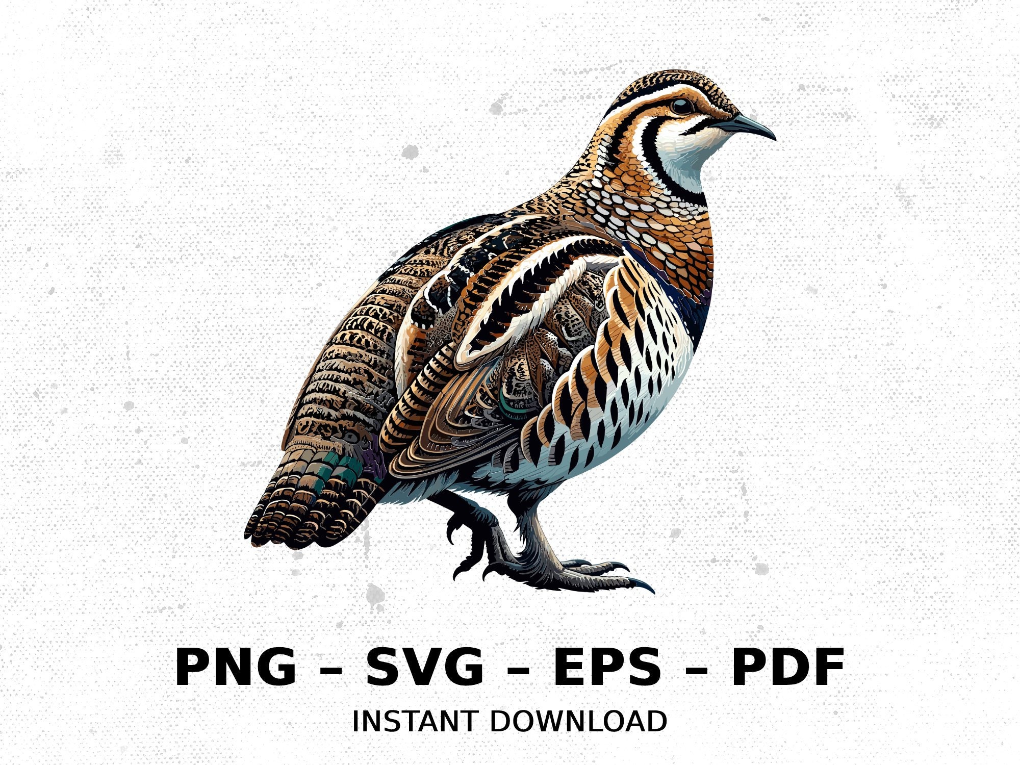 Bird Partridge Wildlife SVG PNG Clipart Sublimation Transparent ...