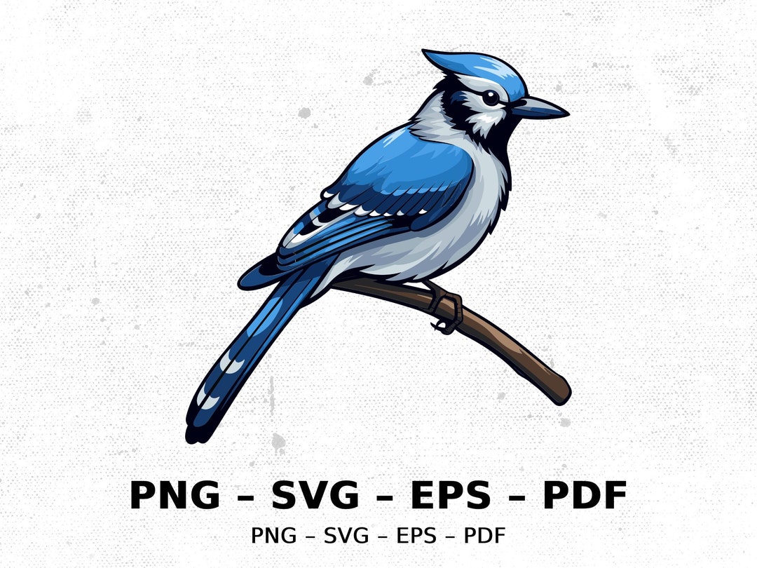 Bird Blue Jay Wildlife SVG PNG Clipart | Sublimation Transparent ...