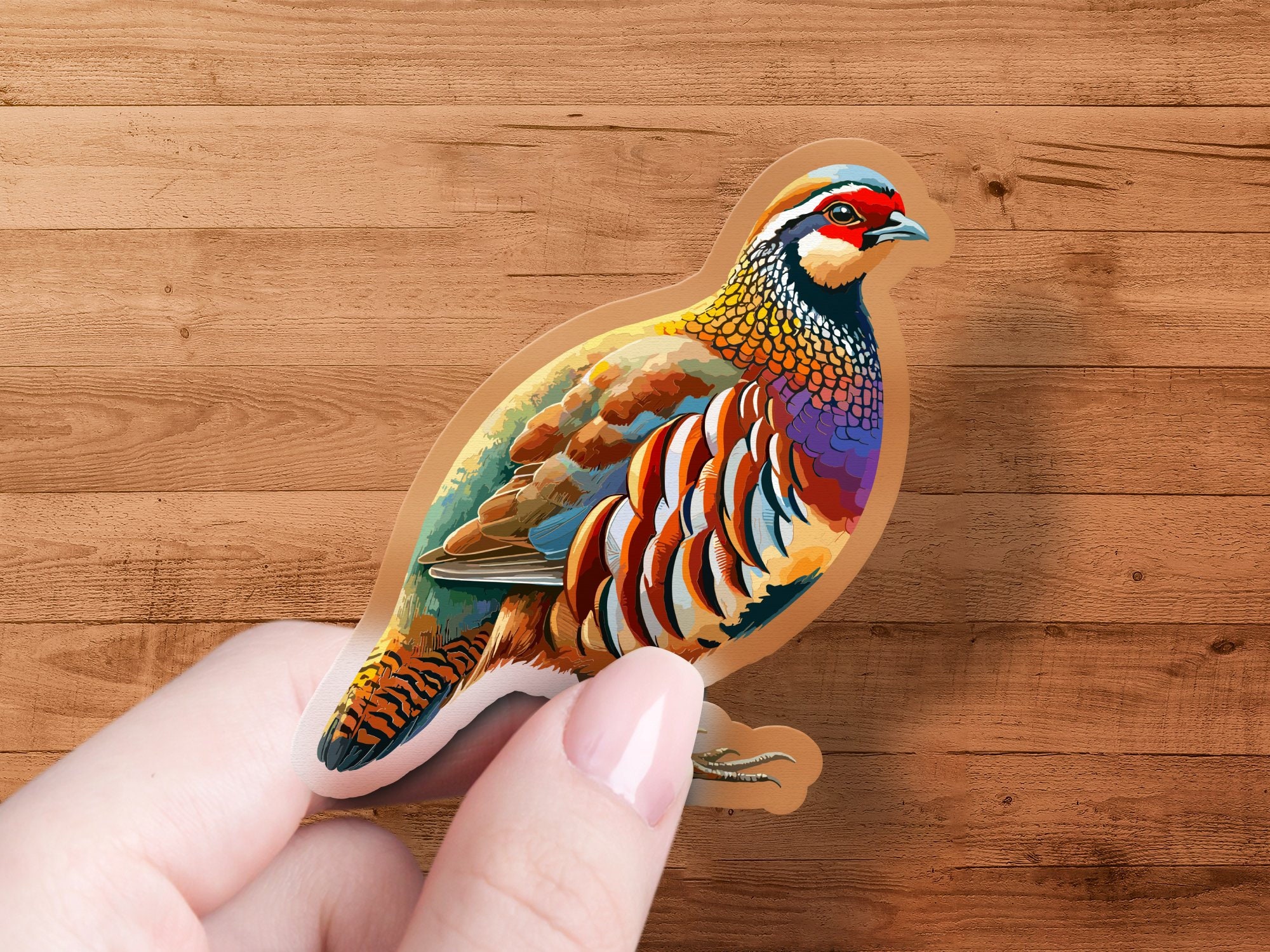 Bird Partridge Wildlife SVG PNG Clipart Sublimation Transparent ...