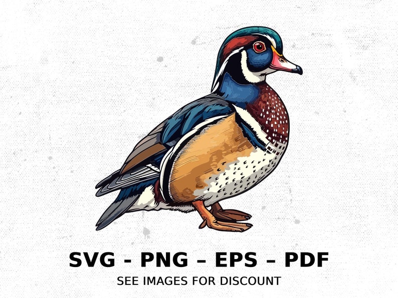Bird Wood Duck Wildlife SVG PNG Clipart | Sublimation Transparent ...