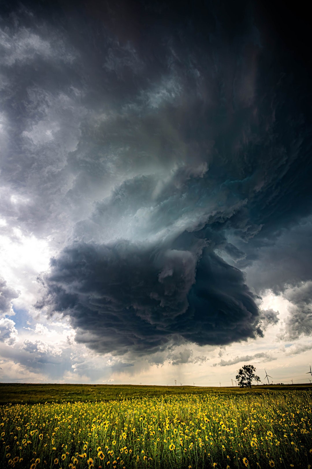 Spring | Storm With Flower Field Print for Home Etc. - Etsy