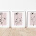 Set of 3 Pink Print Flower Line Art Download Flower Floral Print Pink ...