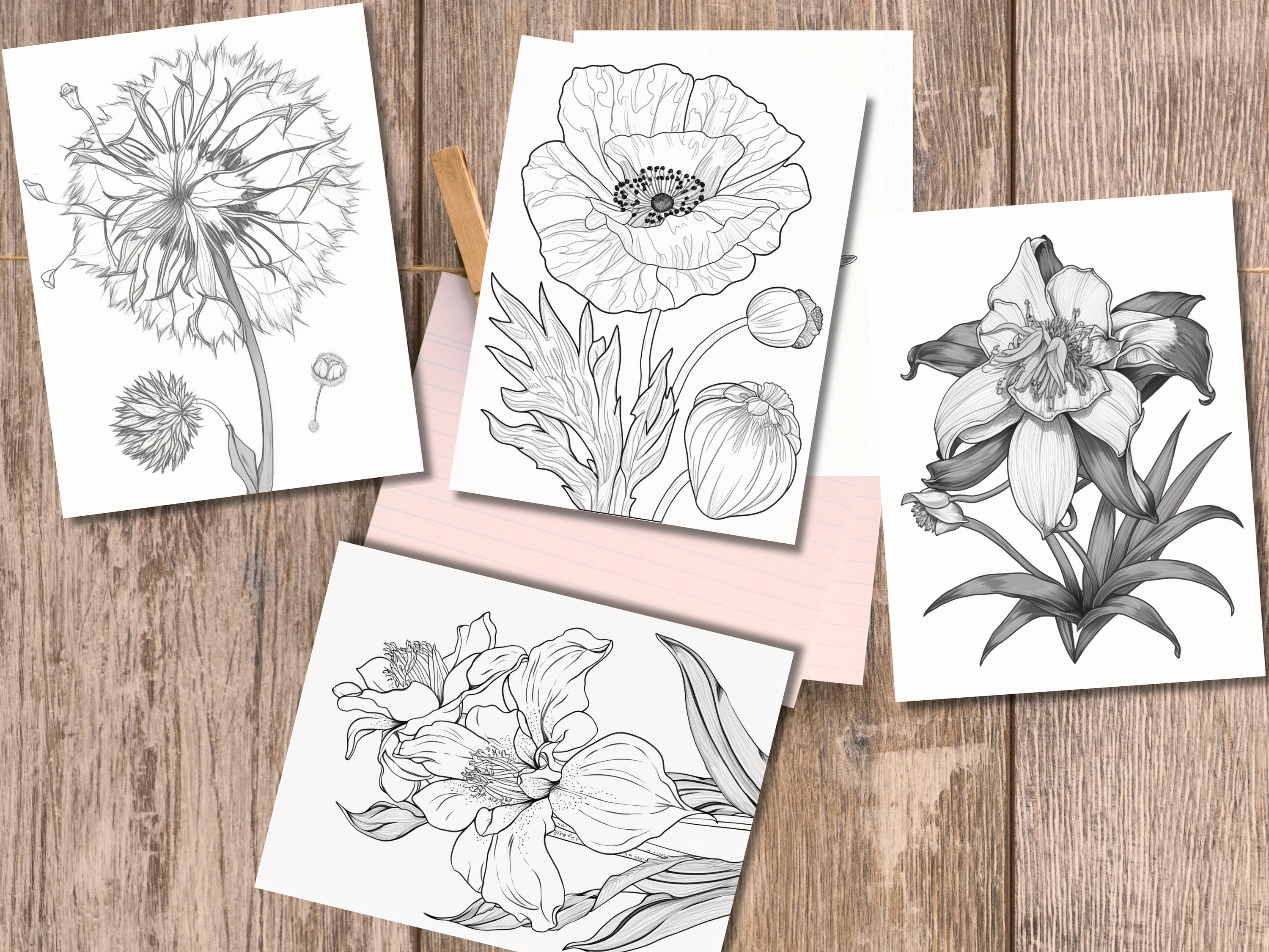 35 Flower Bundles Printable, Coloring Pages, Coloring Book, Adults Kids ...