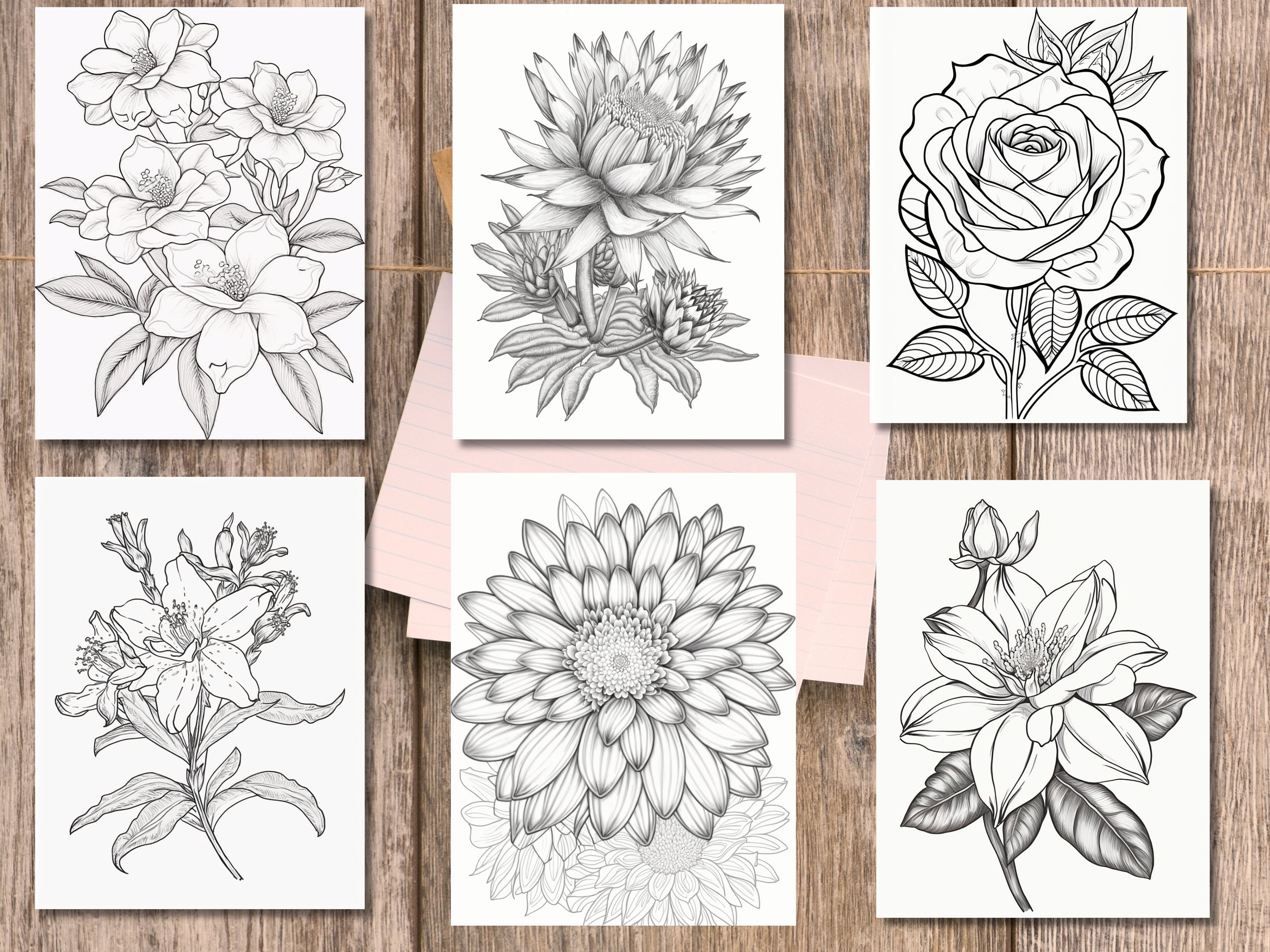 35 Flower Bundles Printable, Coloring Pages, Coloring Book, Adults ...