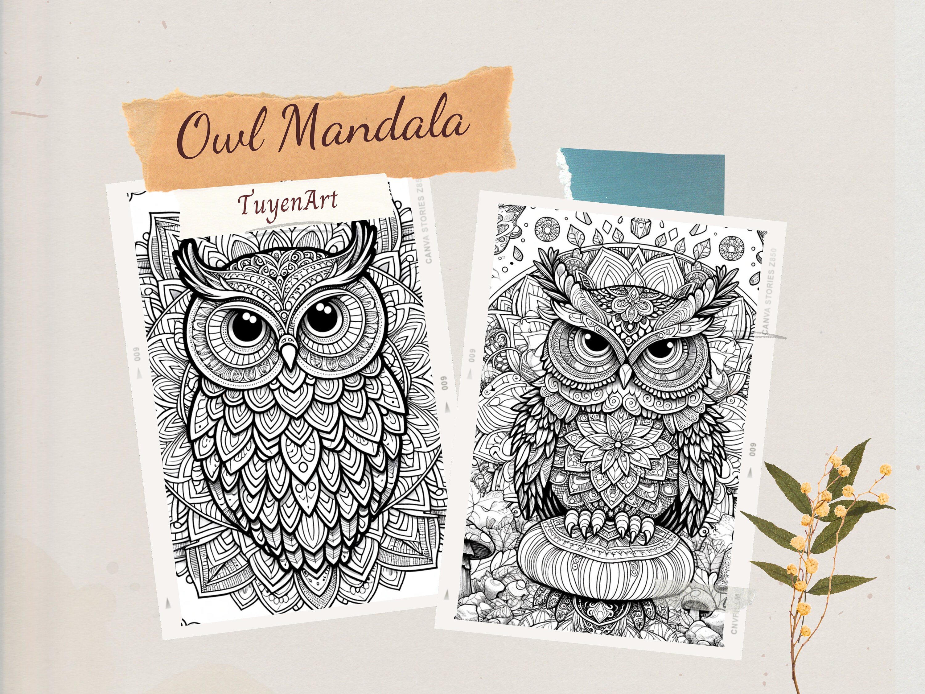 Owl Mandala Coloring Book, Owl Coloring Pages, Cute Owl, Mandala ...
