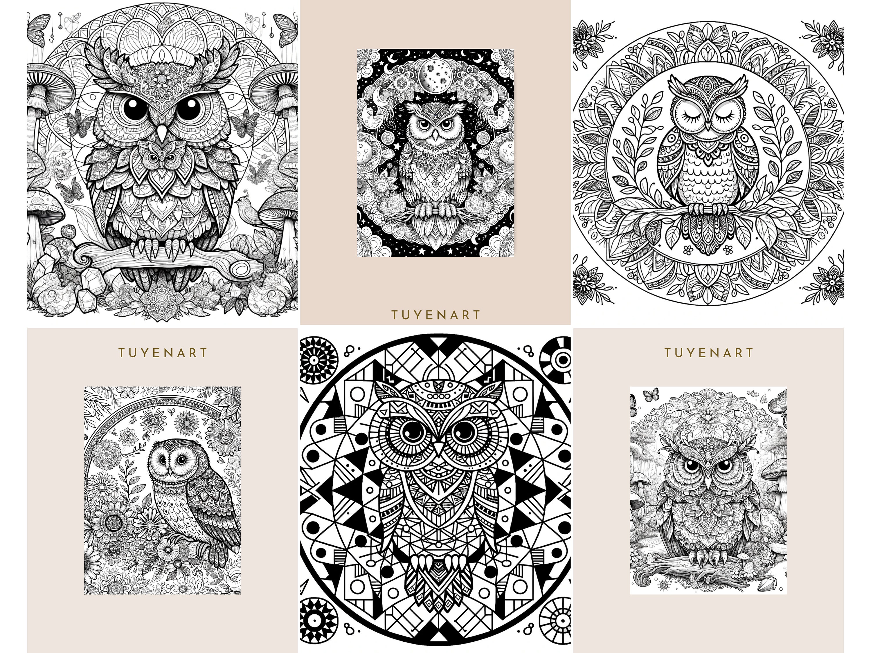 Owl Mandala Coloring Book, Owl Coloring Pages, Cute Owl, Mandala ...