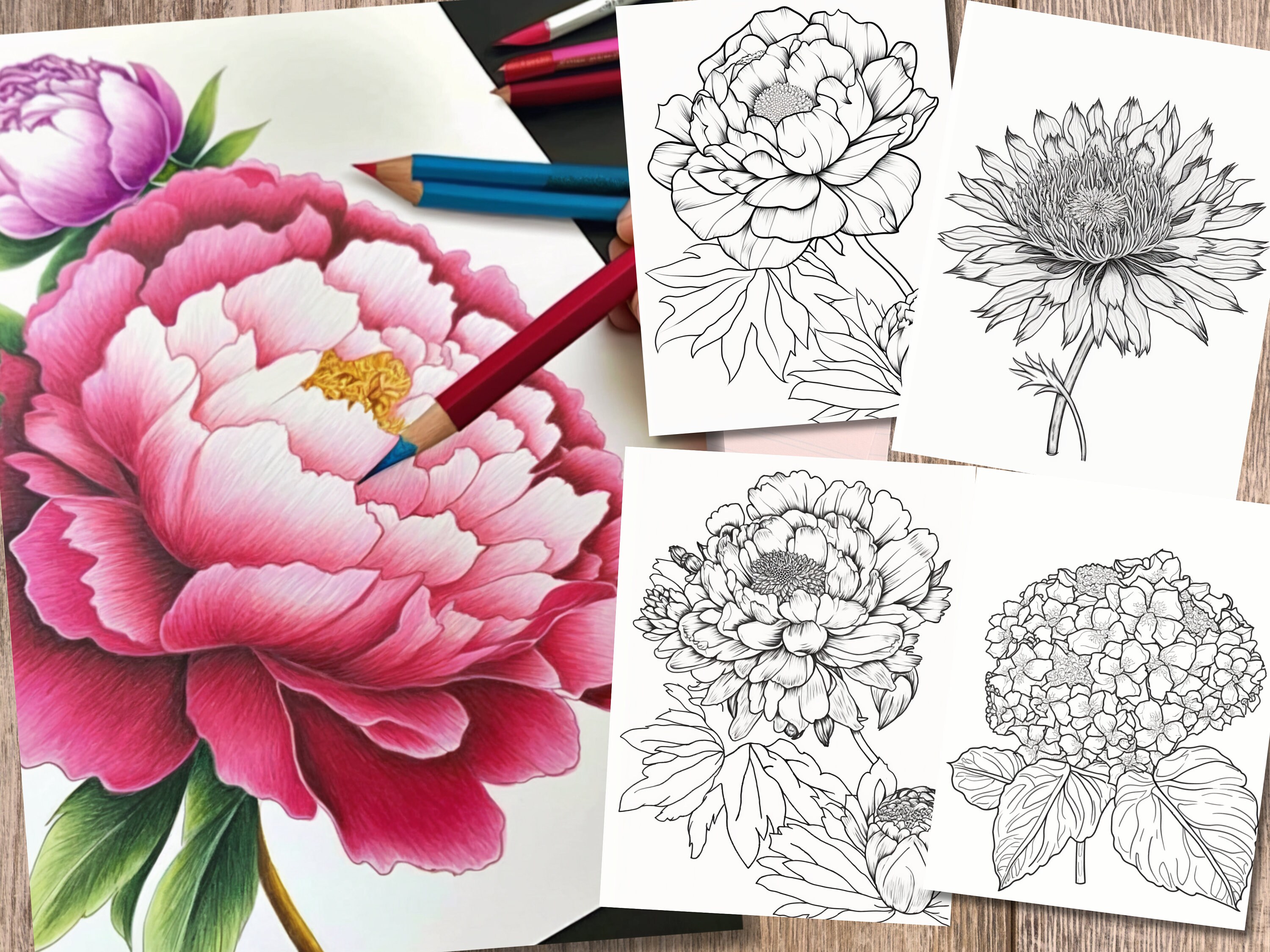 35 Flower Bundles Printable, Coloring Pages, Coloring Book, Adults ...