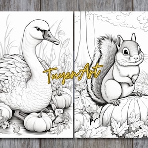 Autumn Animals Coloring Book, Fall Animals Coloring Pages, Autumn Charm ...
