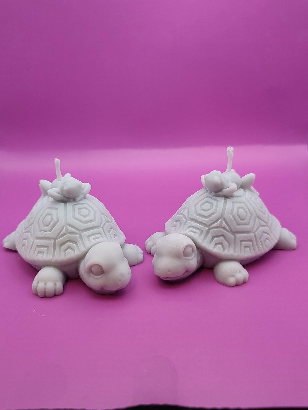 Under the Sea Turtles, Turtle Lovers, Candles - Etsy