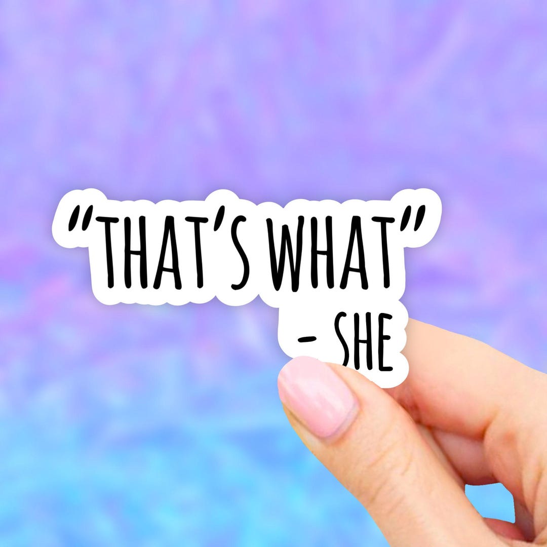 That's What She Said Sticker, Laptop Stickers, Laptop Decal, Aesthetic ...