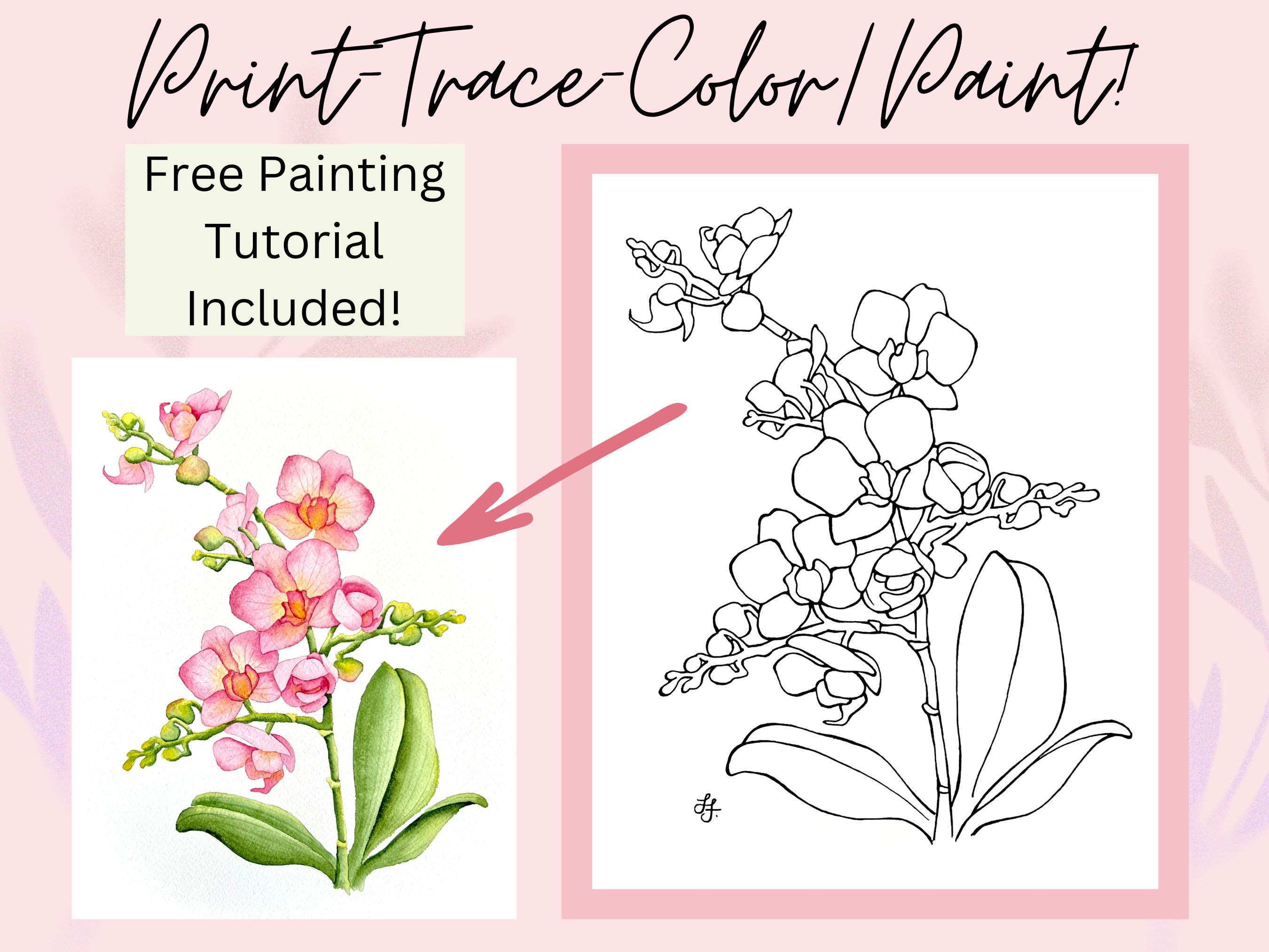 Flower Outline! Orchid PDF Download Digital Printable! - Etsy