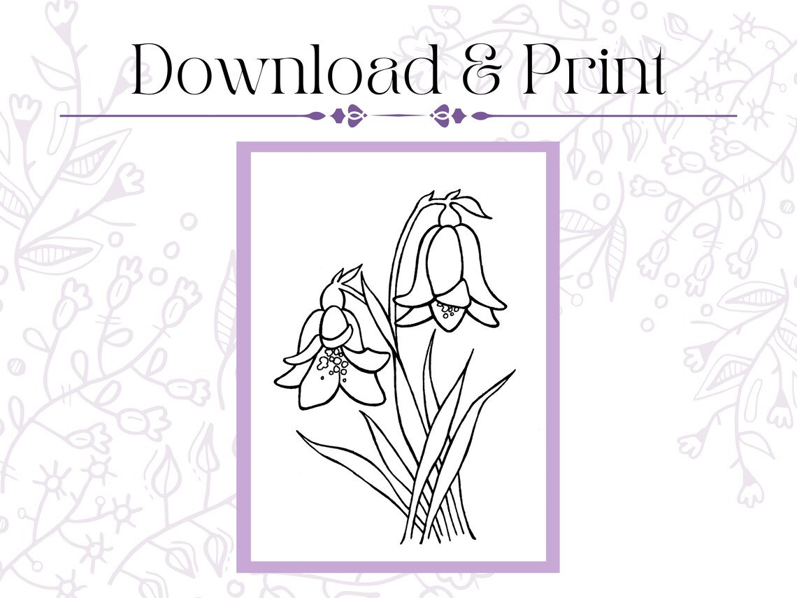 4x6 AND 5x7 Card Size Outline Drawing of Bluebell Flowers Digital ...