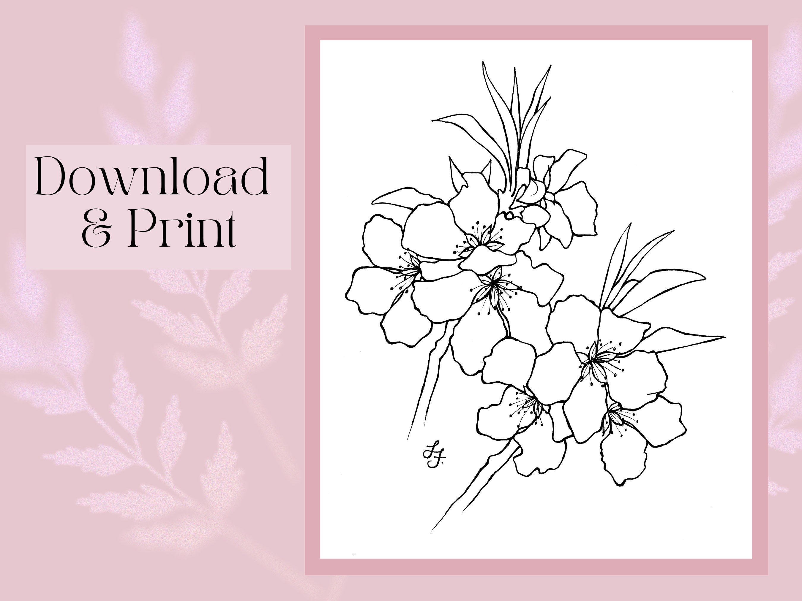 Almond Blossom Downloadable, Printable, Outline Drawing for Coloring ...