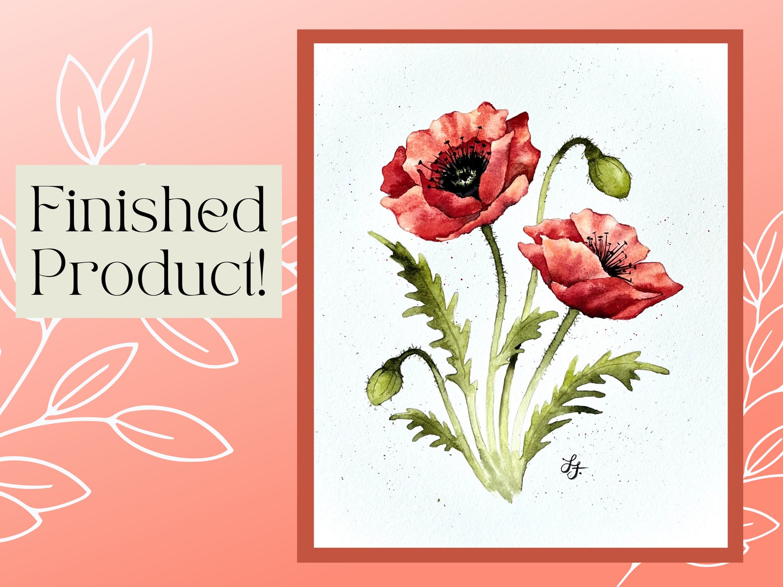 Poppy Flower Outline Drawing/digital PDF Printable! Download, Print ...
