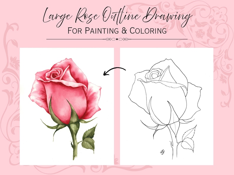 8x10 Large Rose Bud Outline Drawing PDF Digital Download Template for ...