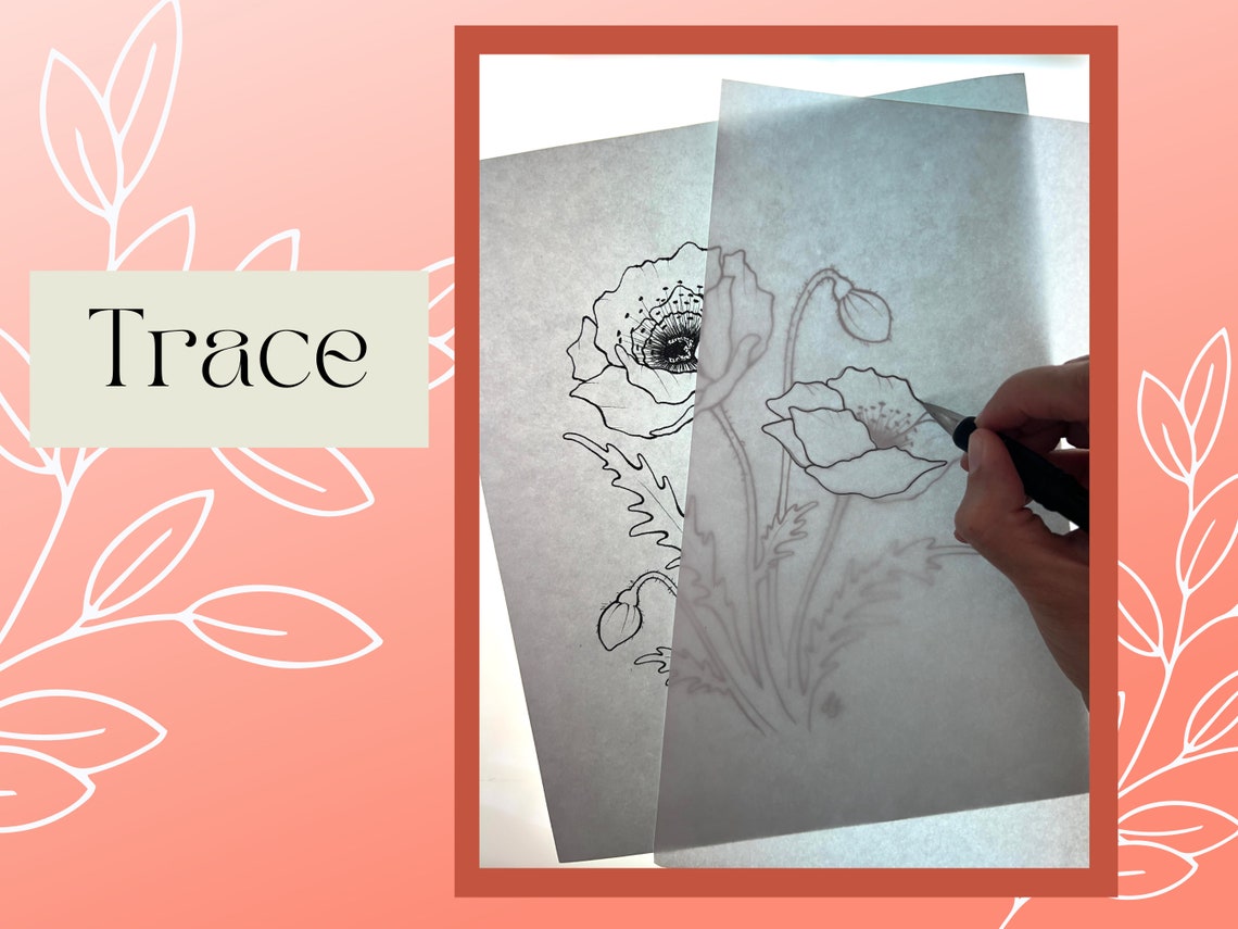 Poppy Flower Outline Drawing/digital PDF Printable! Download, Print ...