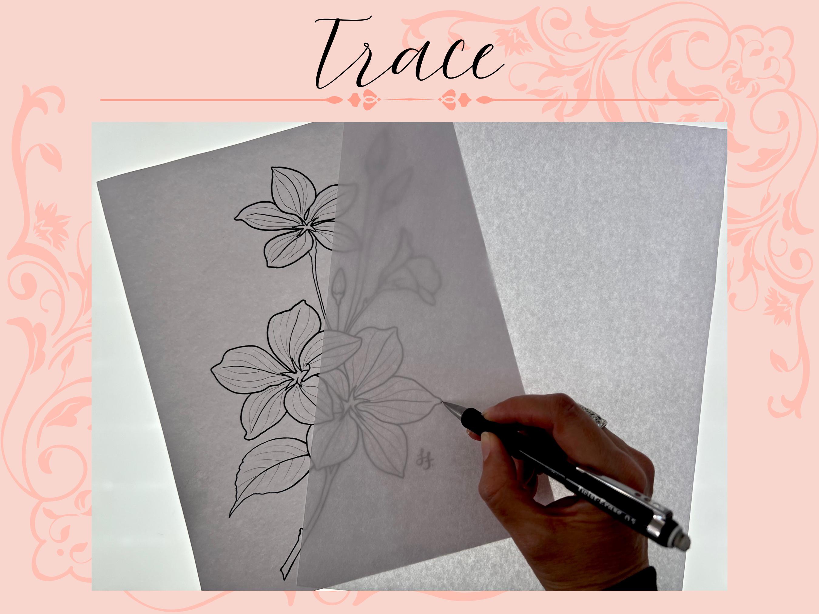 Tropical Flower Outline Drawing Traceable Template PDF Digital Download ...