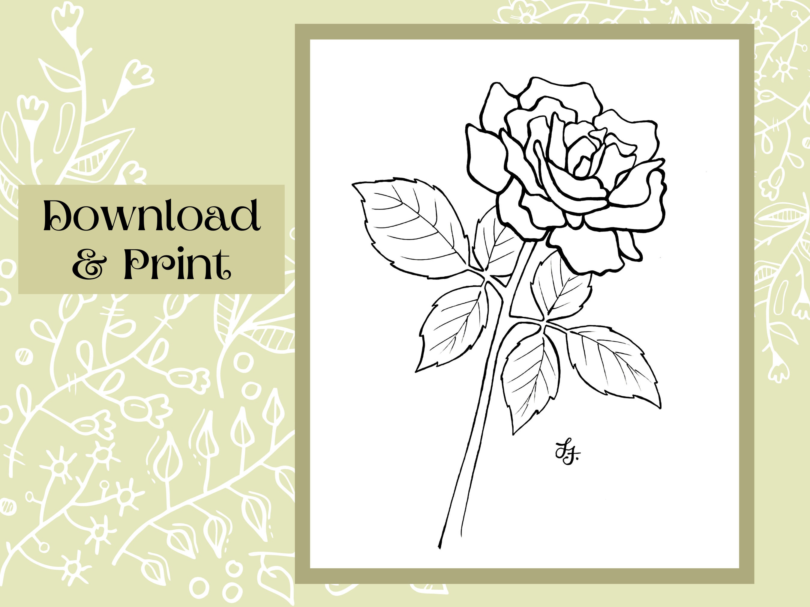 Rose Flower Drawing Outline/template Color/paint Download - Etsy Australia