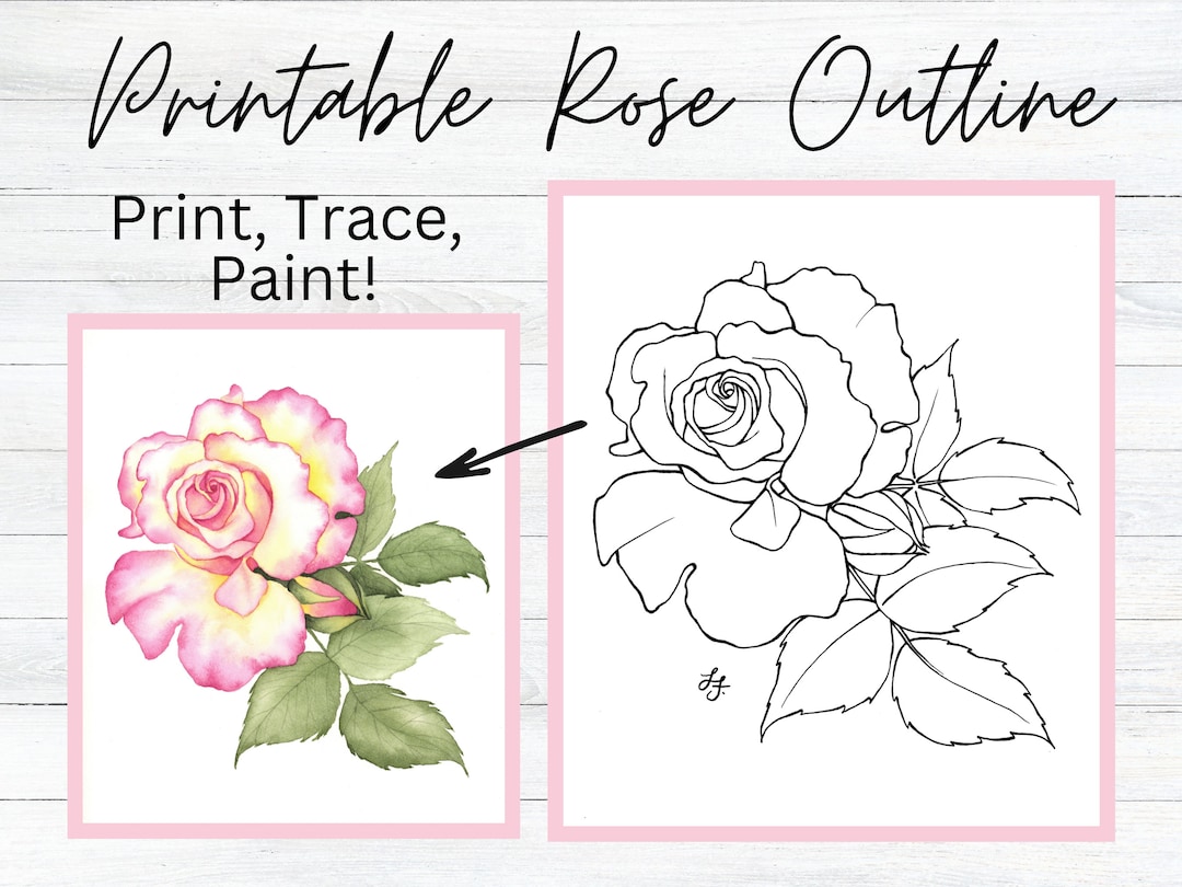 Rose Flower Drawing Outline/template Printable Traceable PDF Coloring ...
