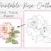 Rose Flower Drawing Outline/template Printable Traceable PDF Coloring ...