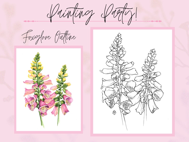 Foxglove Flower Drawing Outline Coloring/painting PDF Printable ...