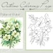 Autumn Tree Landscape Printable Outline Traceable Template for Drawing ...